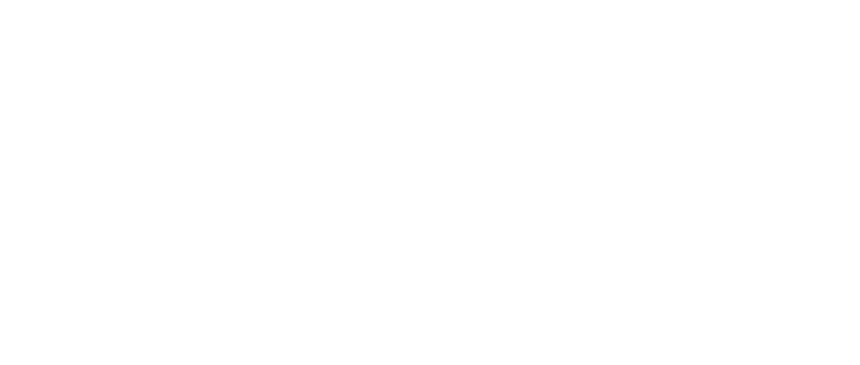 mario fabrizzio anziani ribera – Acreditaciones ANFP